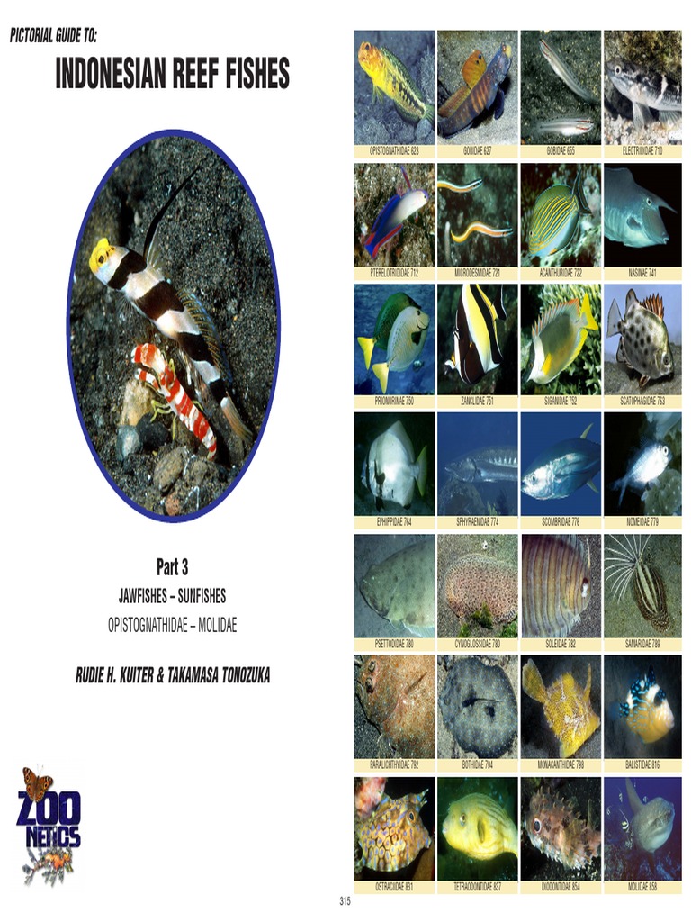 Indonesian Reef Fishes - Part 3 - Rajabnadia | PDF | Fish
