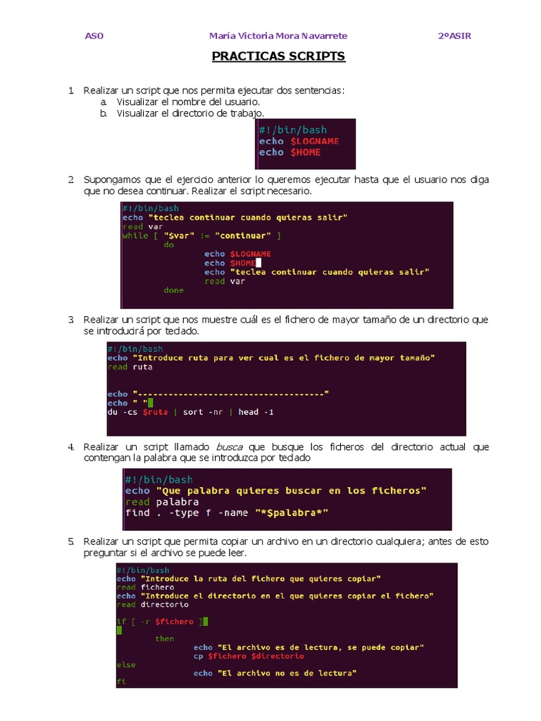 Ejercicios Script | PDF | Archivo de computadora | Ciencias de la Computación