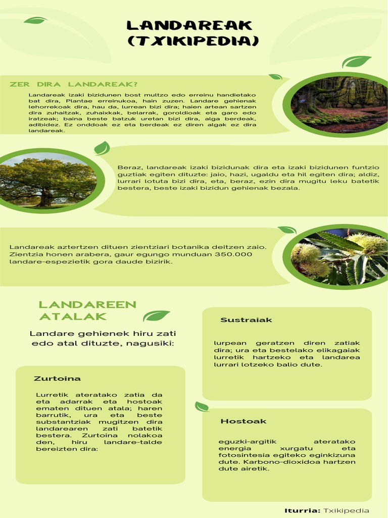 Landareak Triptikoa | PDF