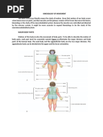 Essential Posture Checklist Guide | PDF