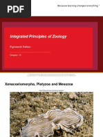 Animal Kingdom Flow Chart | PDF | Biology | Zoology