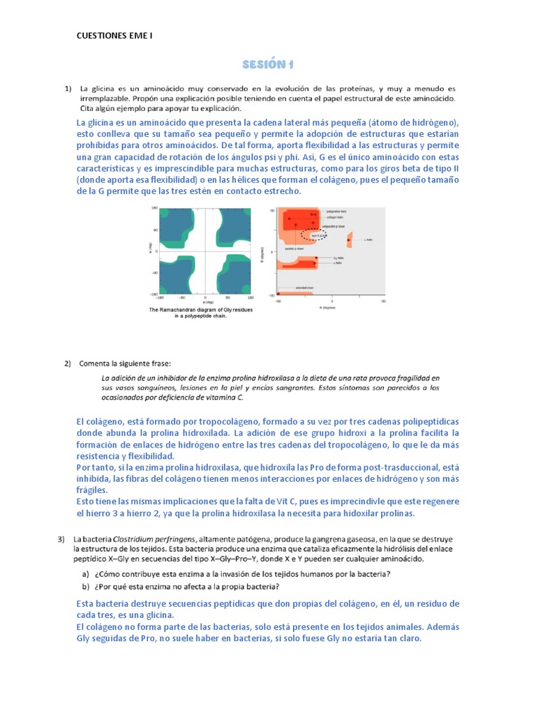 Cuestiones 1 EME I | PDF | Alpha Helix | Colágeno