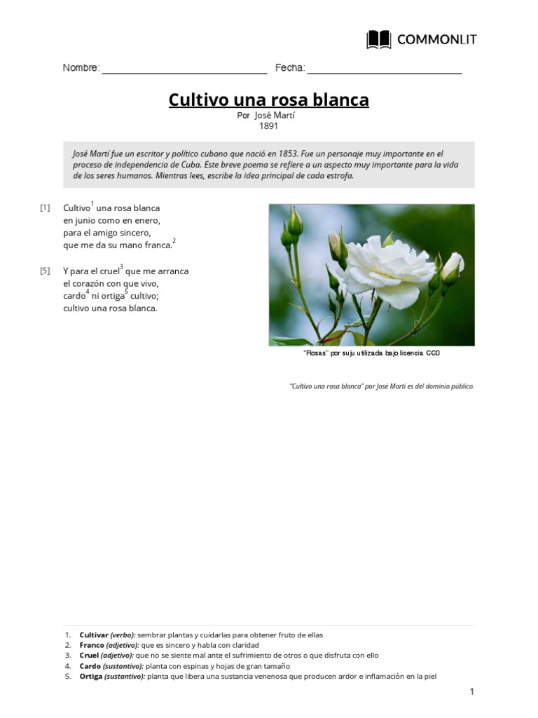 12 - Cultivo Una Rosa Blanca | PDF