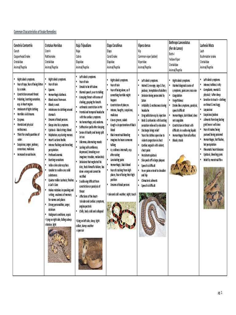 Comparison of Snakes Remedies in Homoeopathy | PDF | Snake | Heart