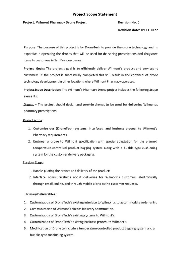 Project Scope Statement | PDF | Finance & Money Management | Computers