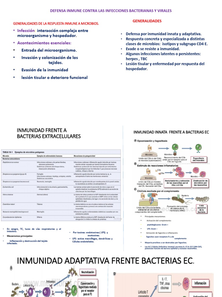 Defensa Inmune Contra Las Infecciones Bacterianas y Virales | PDF | Sistema inmune | Fagocito