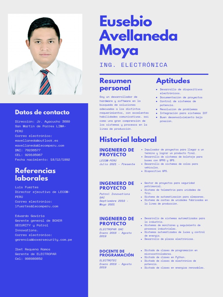 Curriculum Formato | PDF | Automatización | Lenguaje de programación