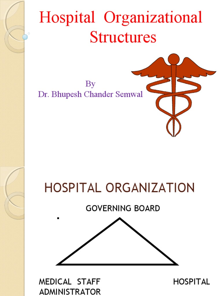 Hospital Organizational Structures | PDF | Hospital | Physician
