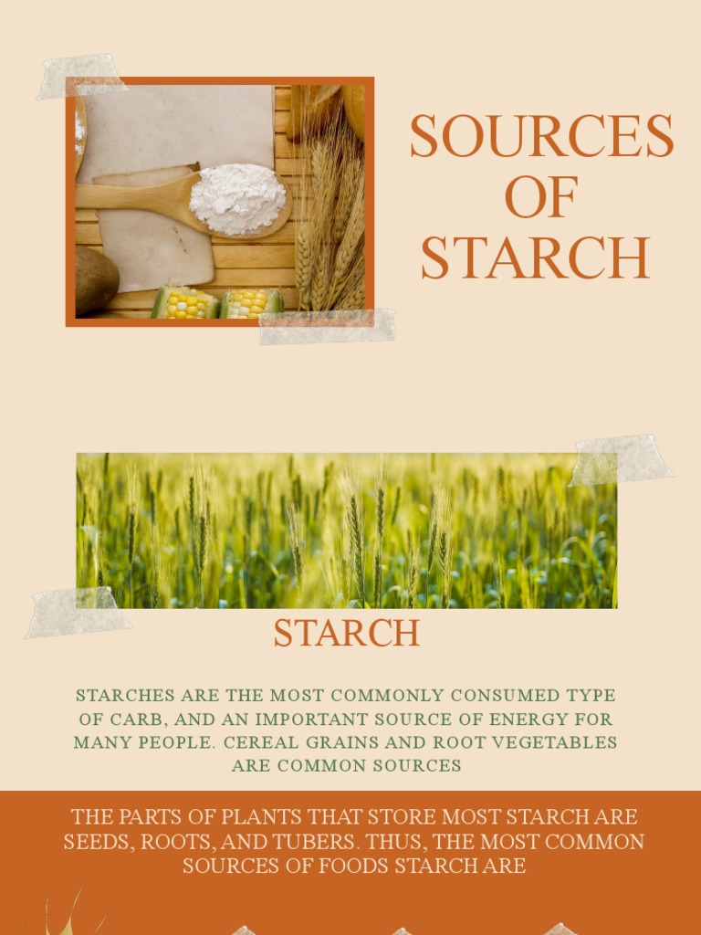 Sources of Starch | PDF | Grain | Starch
