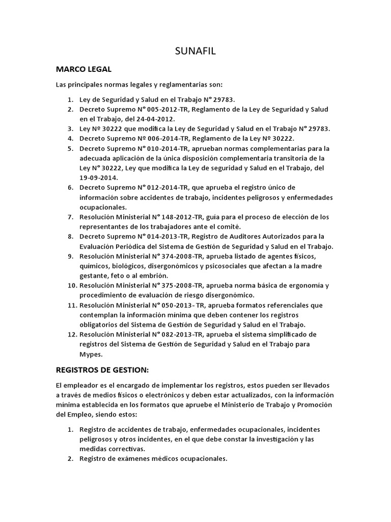 Resumen de Sunafil | PDF