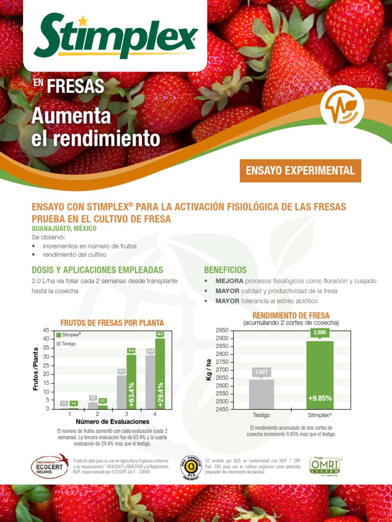 Ficha Tecnica Fresa | PDF | Botánica | Plantas