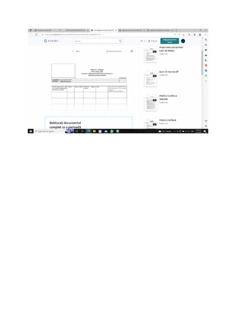 Fisa Magazie Eip | PDF