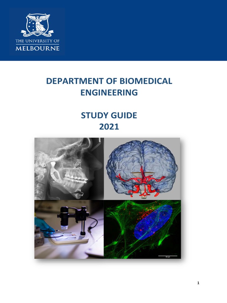 Biomedical Engineering Study Guide 2021 sm1 | PDF | Visual Perception ...