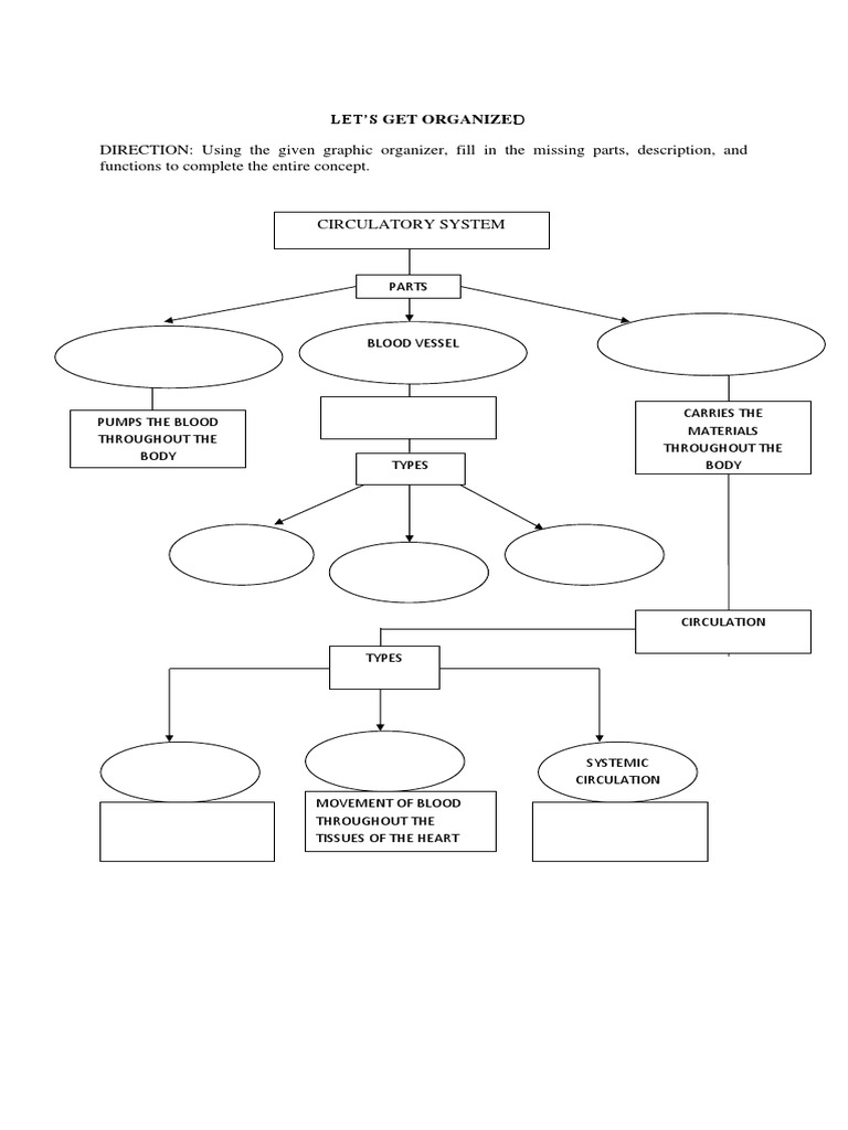 Let's Get Organize Activity | PDF