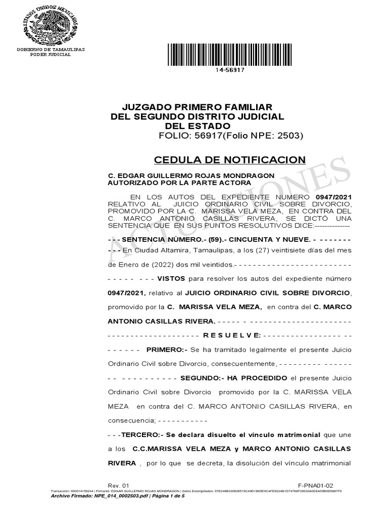 Sentencia Casillas Divorcio | PDF | Divorcio | El feminismo y la familia