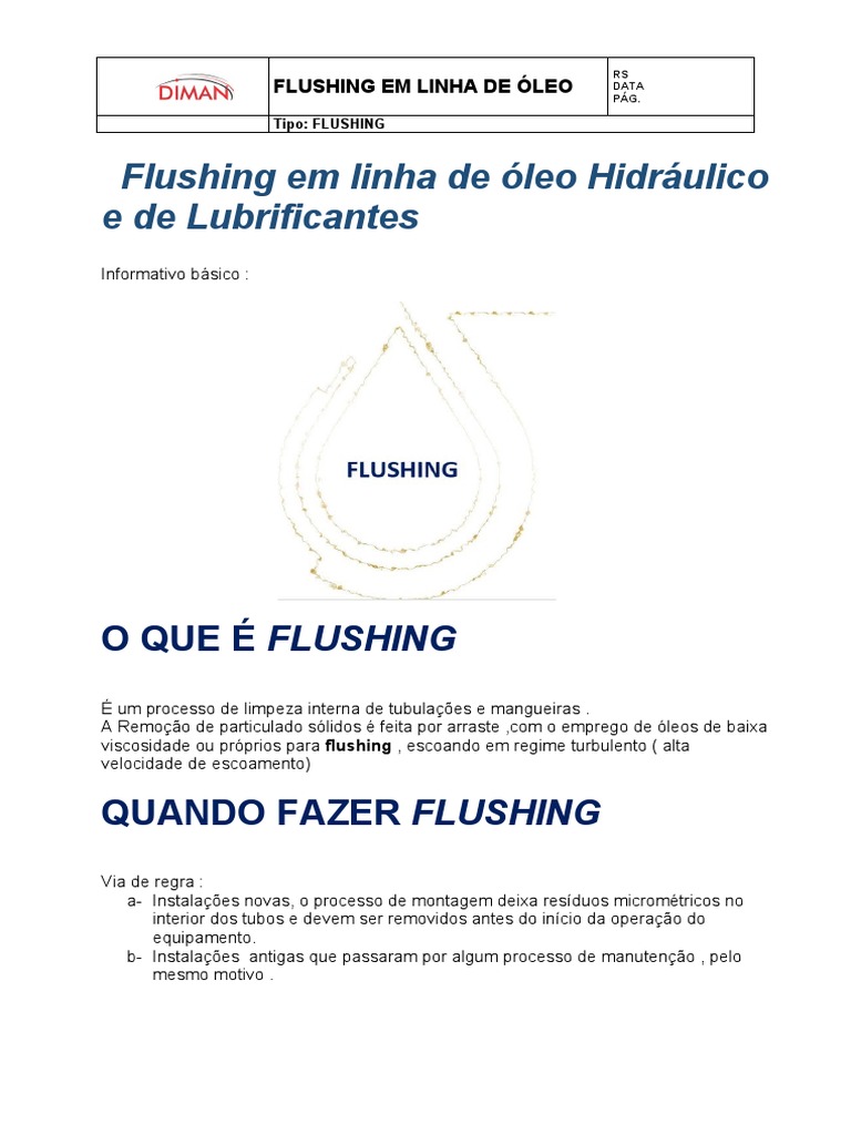 FLUSHING | PDF | Mecânica dos fluidos | Turbulência