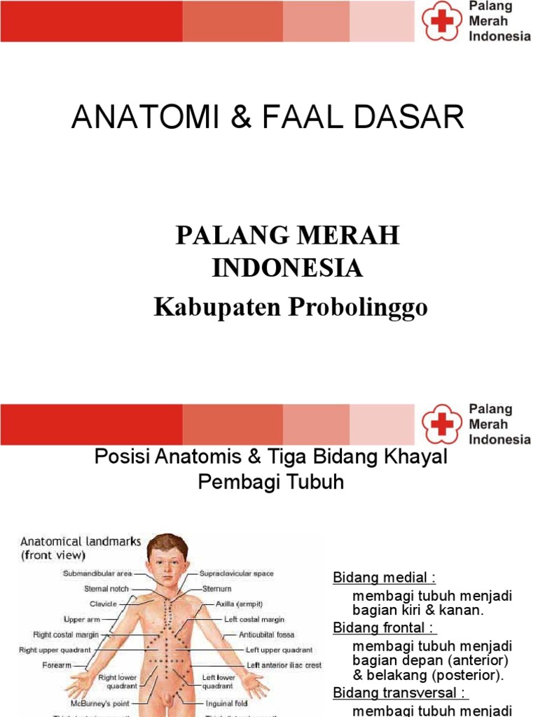 Anatomi Dan Faal Manusia | PDF | Kesehatan Holistik