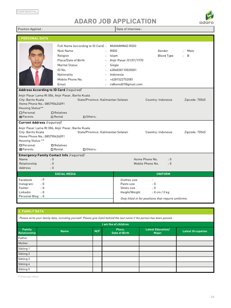 Adaro Job Application: I. Personal Data | PDF