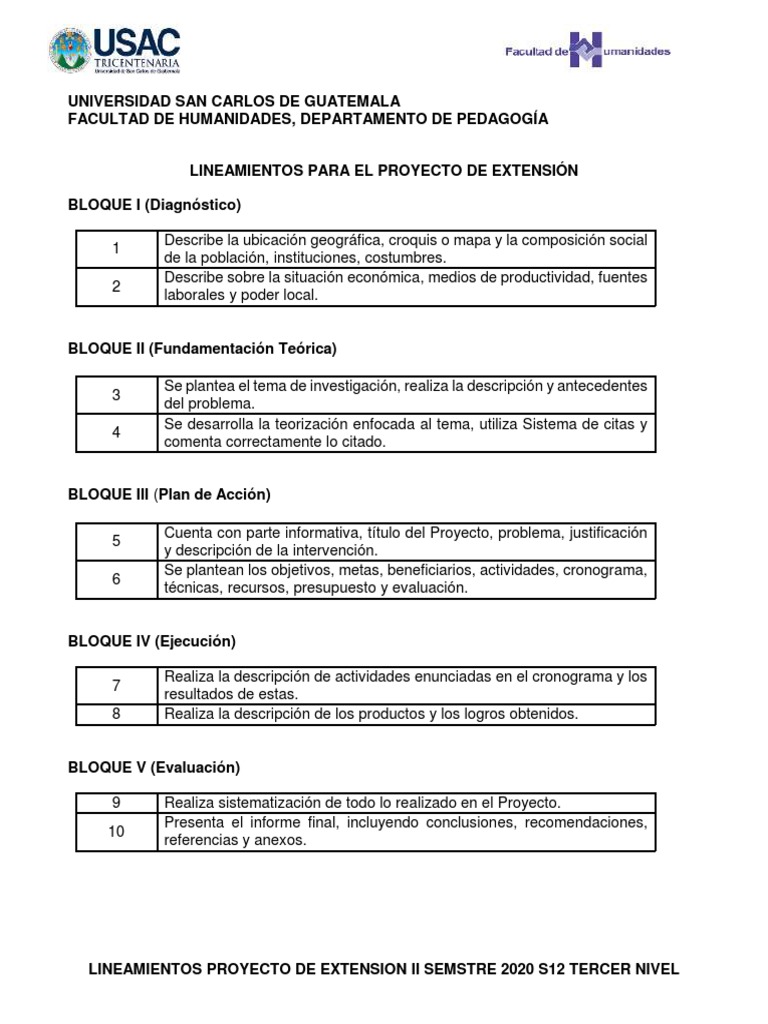 Lineamientos Proyecto de Extension Completo | PDF
