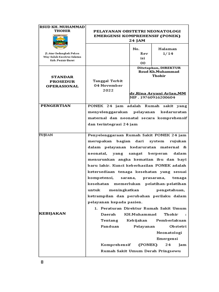 Prognas 1.1 Spo - Ponek - Rsud - Baru | PDF