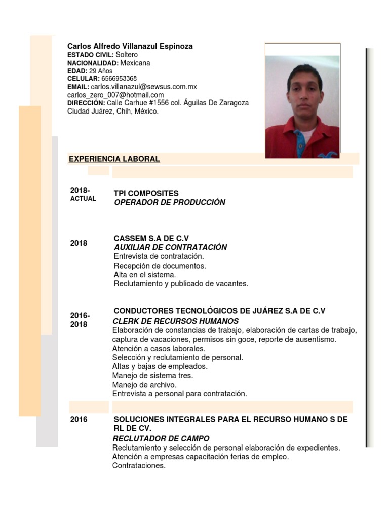 CV Carlos | PDF | Gestión de recursos humanos | Business