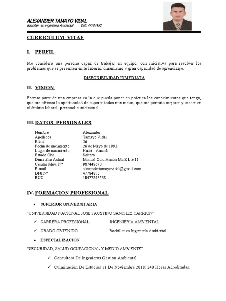 Curriculum Vitae - Alexander | PDF