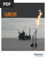 2021 Introduction To PyroSim | PDF | Fires | Simulation