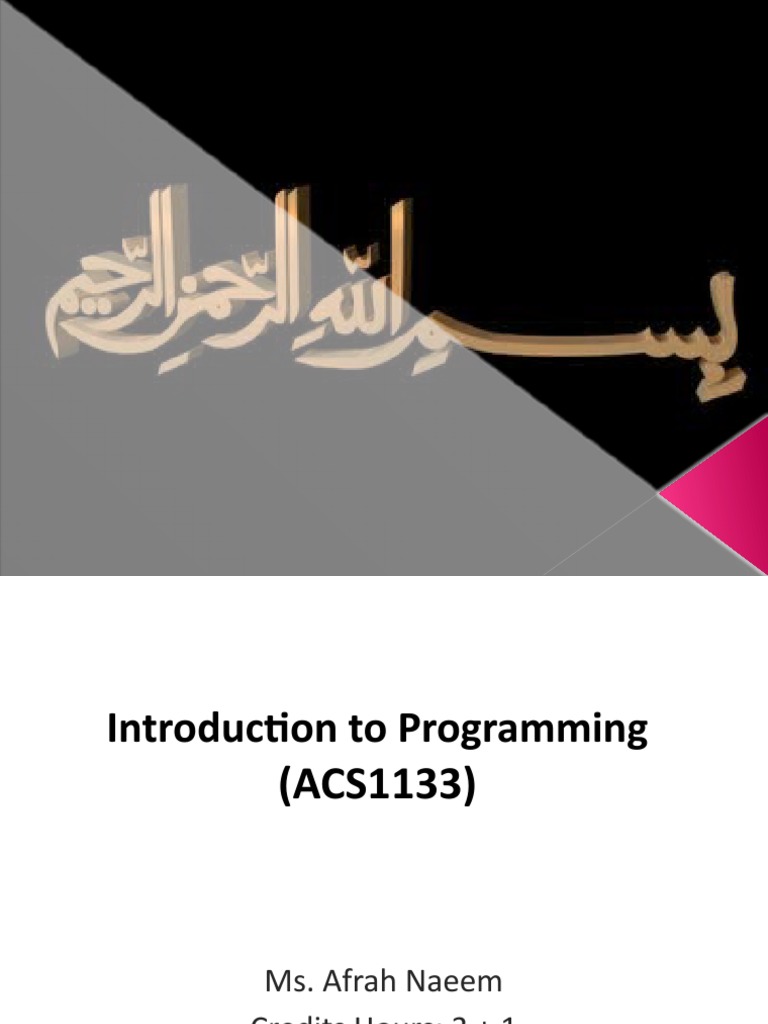 1 Introduction | PDF | Computer Programming | Plagiarism