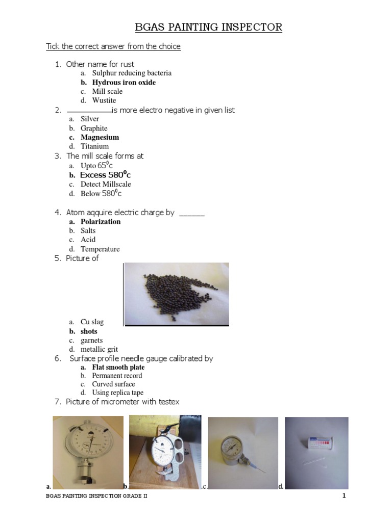 BGAS Painting Inspection Quiz | PDF | Paint | Rust