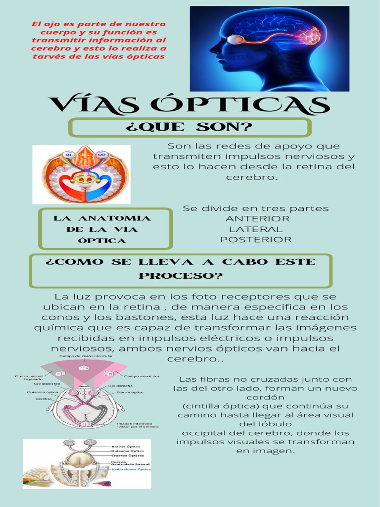 Vías Ópticas Infografia | PDF | Ciencia y matemáticas | Informática
