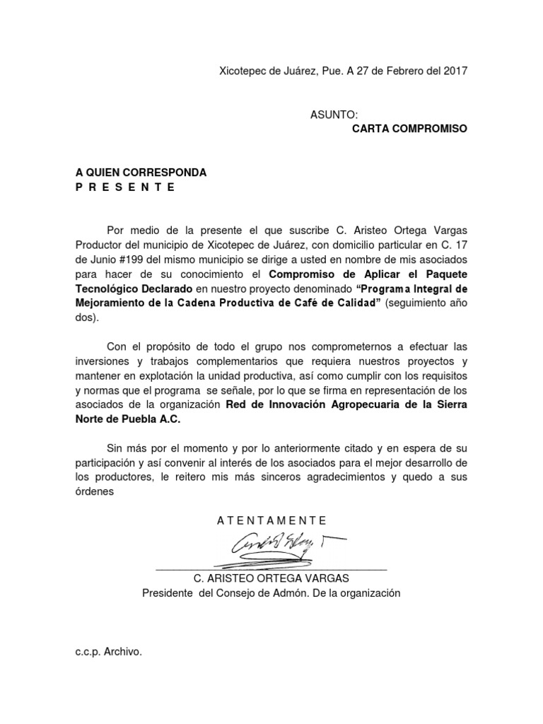 Carta Compromiso-Red-17 | PDF | Crecimiento personal y profesional ...