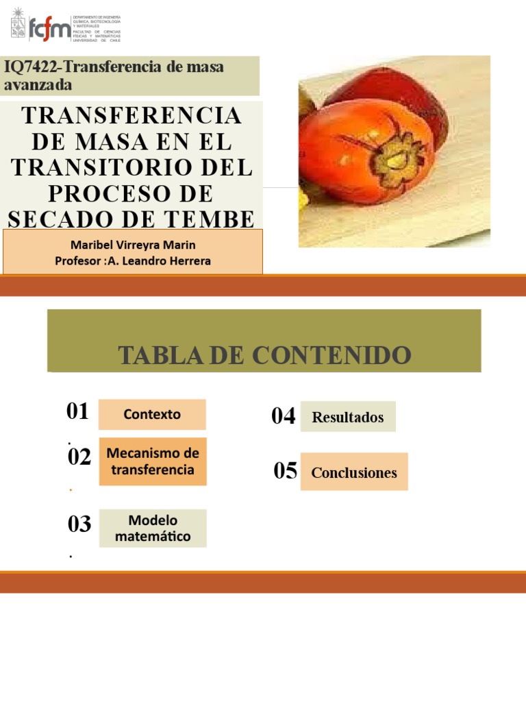 Transferencia de Masa en Secado | PDF | Alimentos | Transferencia de masa