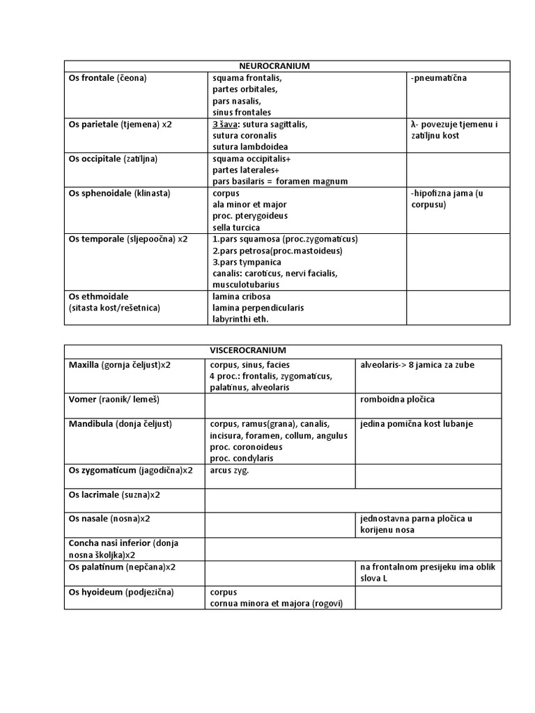 Anatomija Kosti | PDF