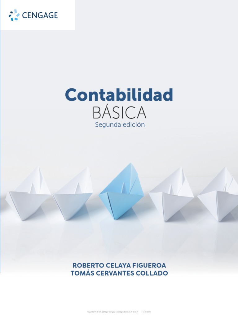 Libro Contabilidad Básica | Descargar gratis PDF | Contador | Maestros