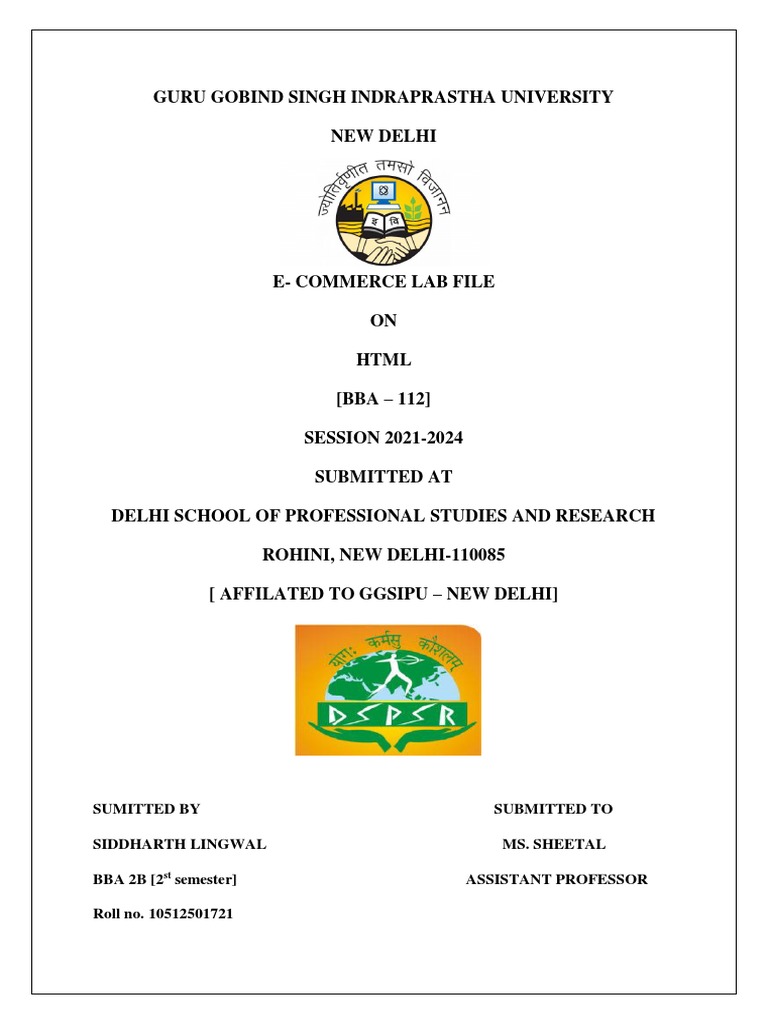 E-Commerce Practical File by Siddharth | PDF