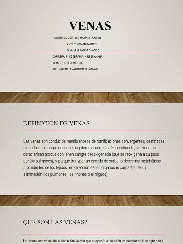Anatomía y Función de las Venas | PDF | Vena | Sistema circulatorio