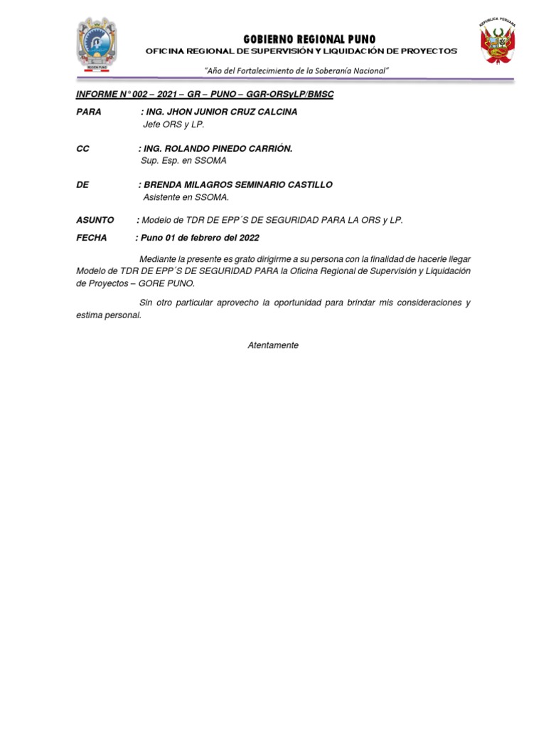 TDR para Epps de Seguridad-Bren | PDF | Casco