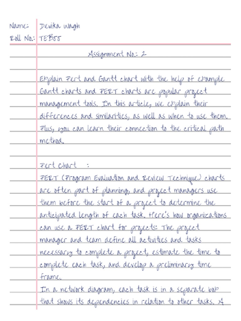 TEB55 SPM Theory Assignment 2 | PDF