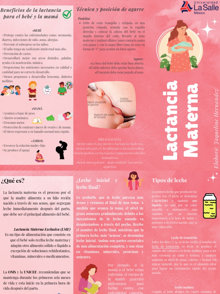 Material Educativo-Lactancia Materna | PDF | Leche | Pecho