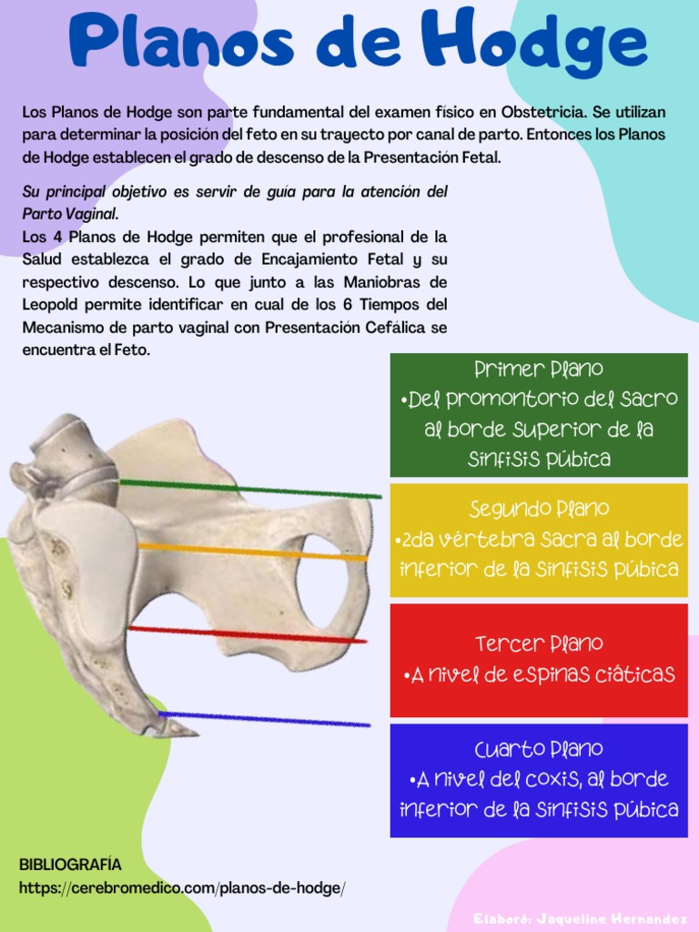 Planos de Hodge en Obstetricia | PDF