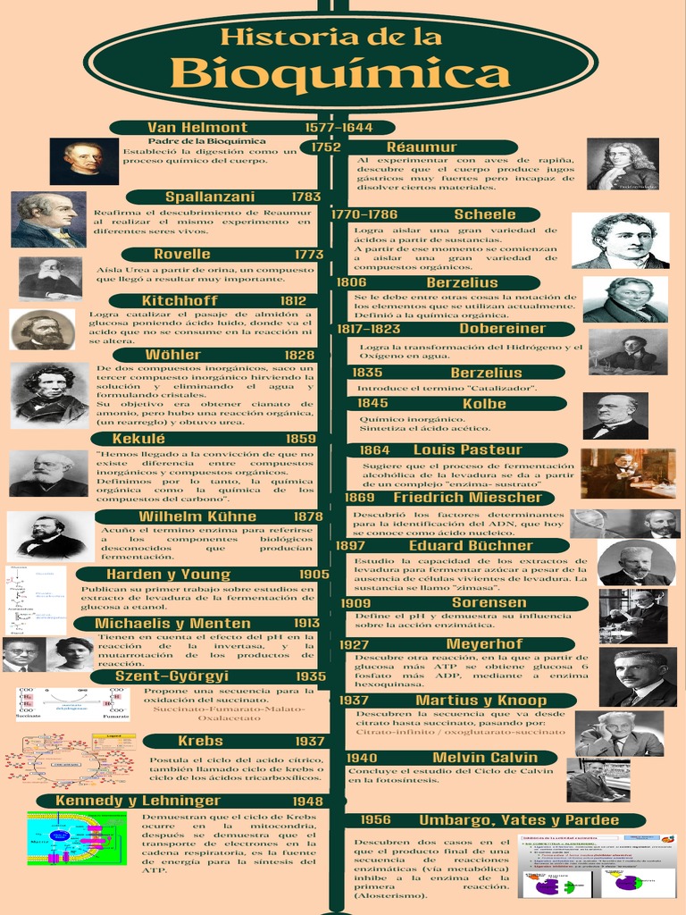 Linea Del Tiempo de La Bioquimica | PDF | Dieta y nutrición | Química