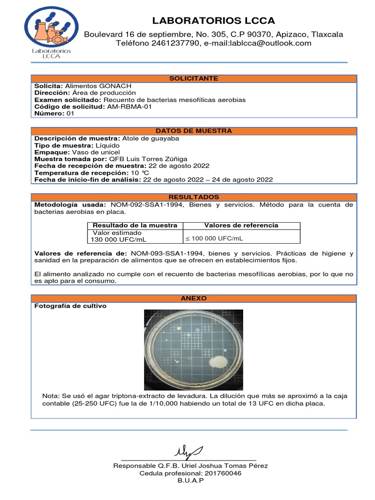 Reporte-P4. Bacterias Mesofílicas Aerobias | PDF