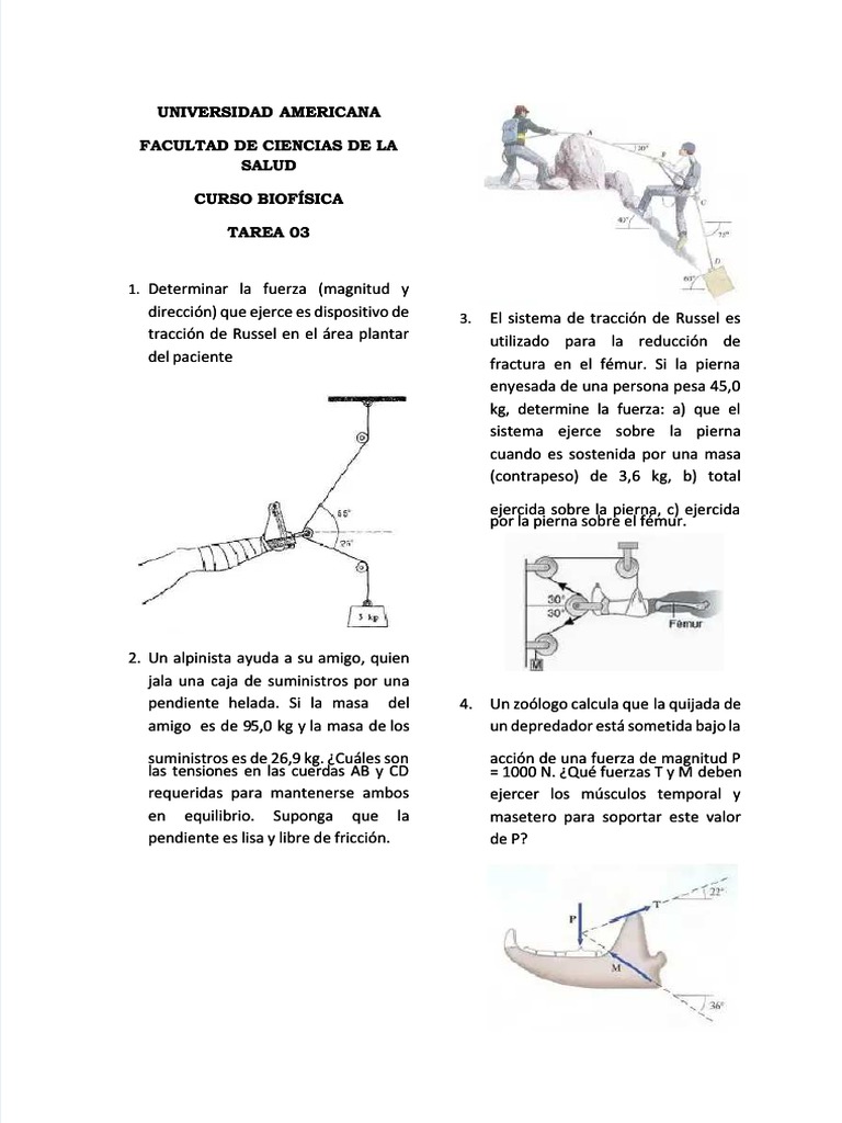 PDF Tarea 03 2019 Compress | PDF