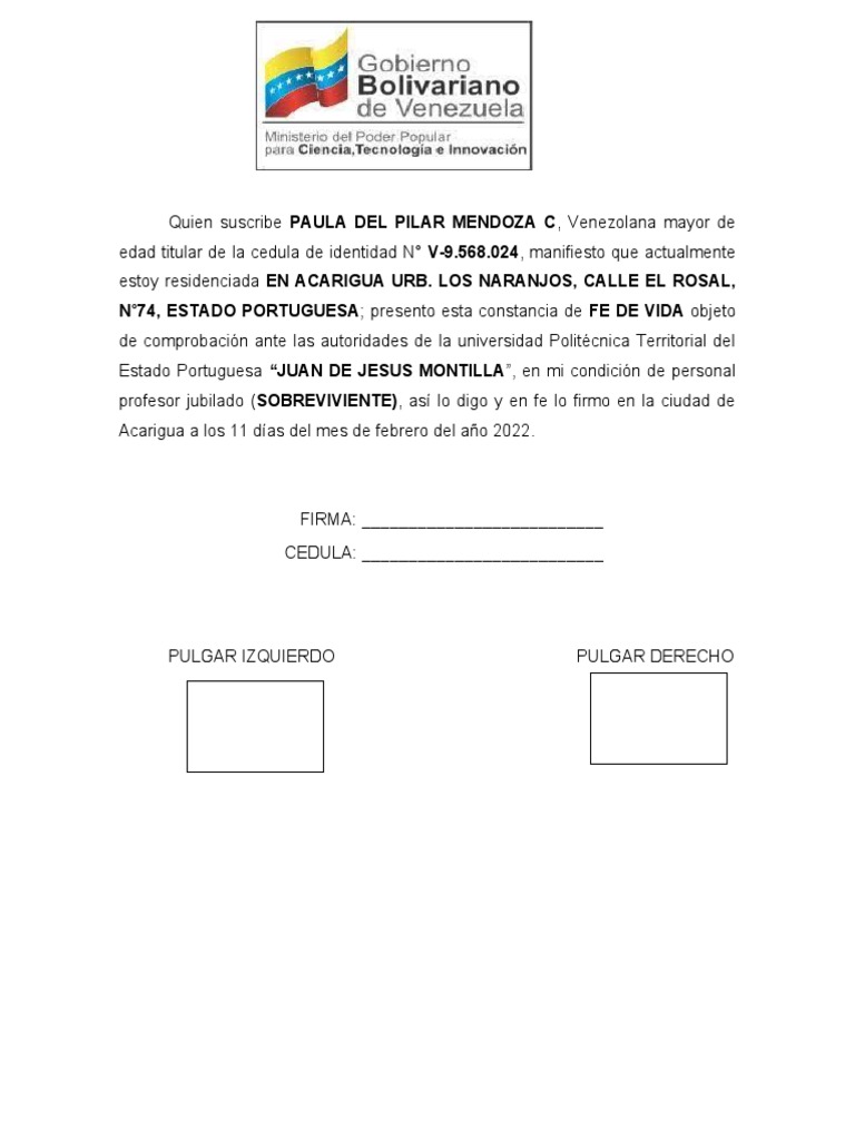 Constancia de Fe de Vida 2022 | PDF