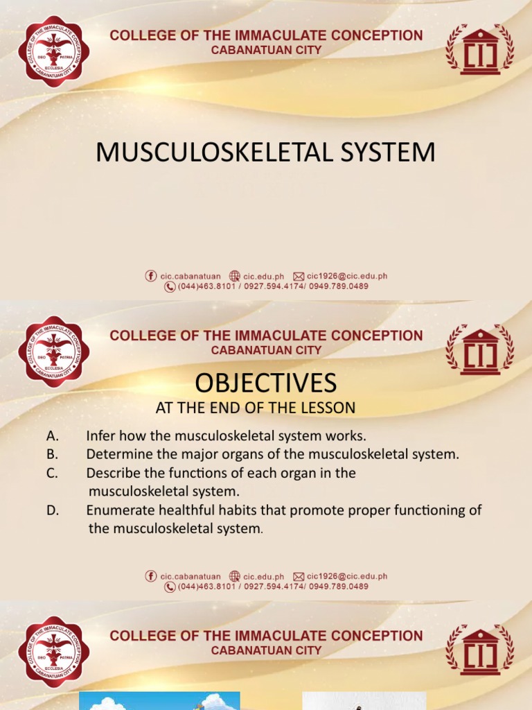 Musculoskeletal System | PDF | Human Musculoskeletal System | Skeleton