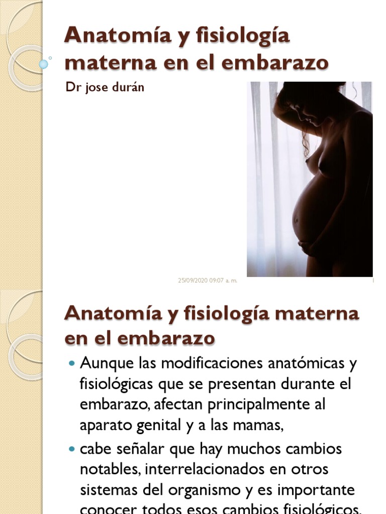 Anatomía y Fisiología Materna en El Embarazo | PDF | Gonadotropina | El embarazo