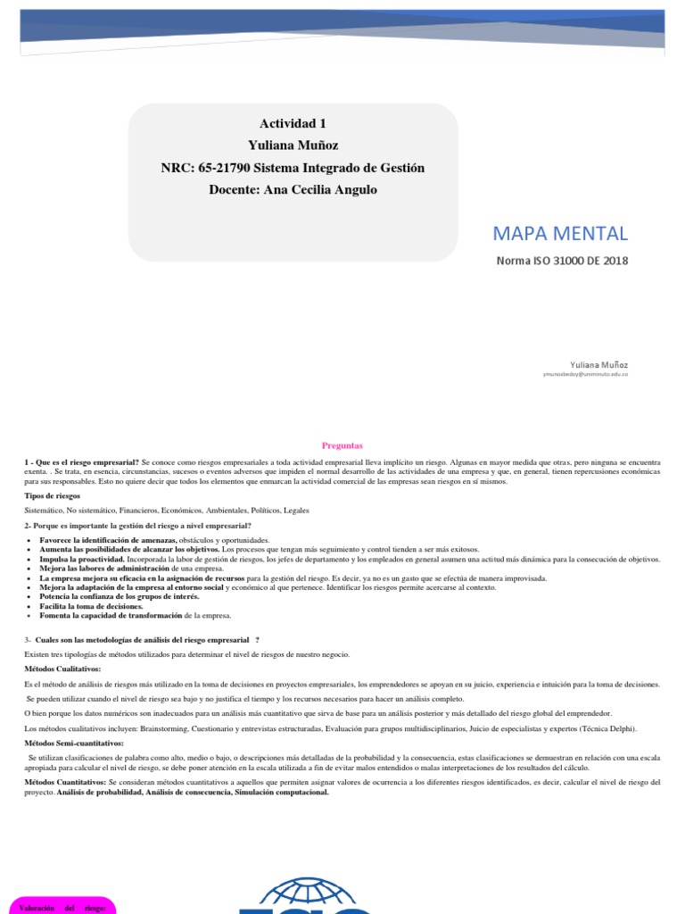 Mapa Mental Norma Iso 31000 | PDF | Toma de decisiones | Riesgo