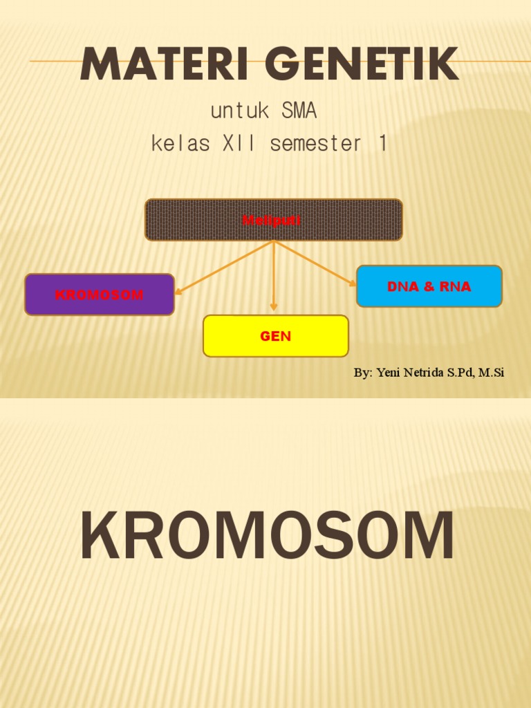 Materi Genetik Untuk Kelas XII BT | PDF | Sains & Matematika