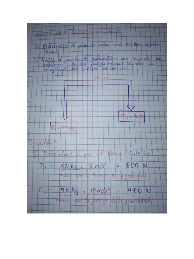 Actividad Entregable N°1 | PDF