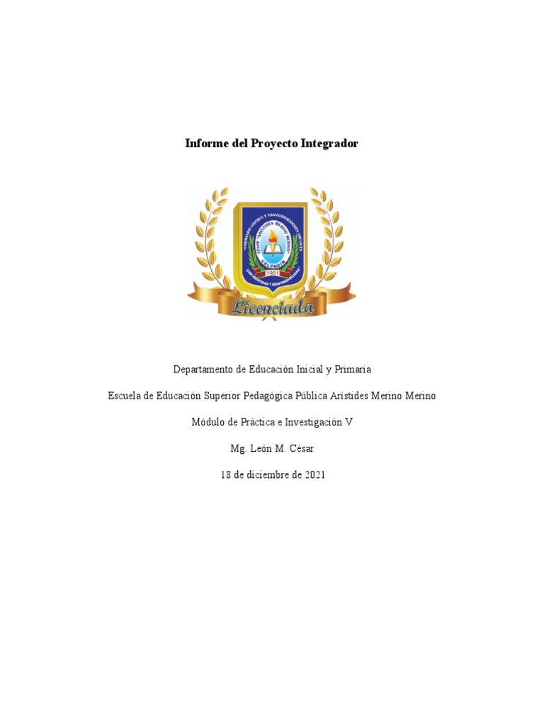 Informe Del Proyecto Integrador | Descargar gratis PDF | Aprendizaje ...